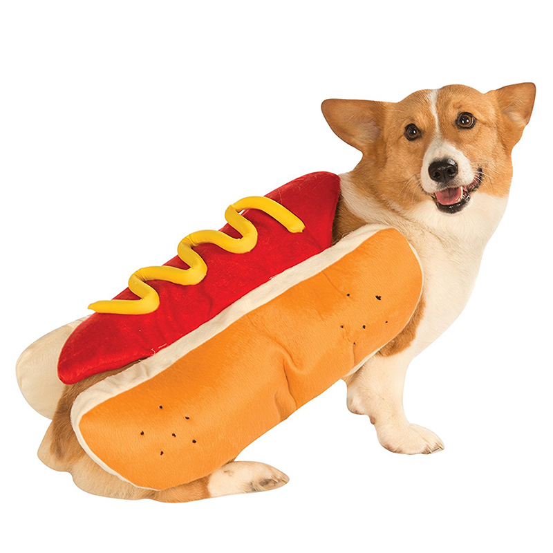 Funny Dog Costumes Products- Cheersdrop